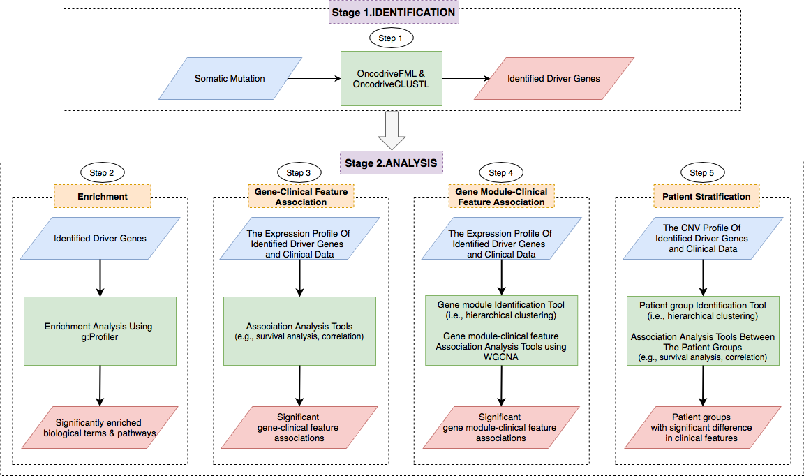 GitHub - hauldhut/drivergene: A workflow for identification and ...