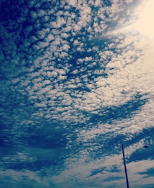 GitHub - AgentMaker/Paddle-IMSP: An Image Search and Pair system base on PaddlePaddle.