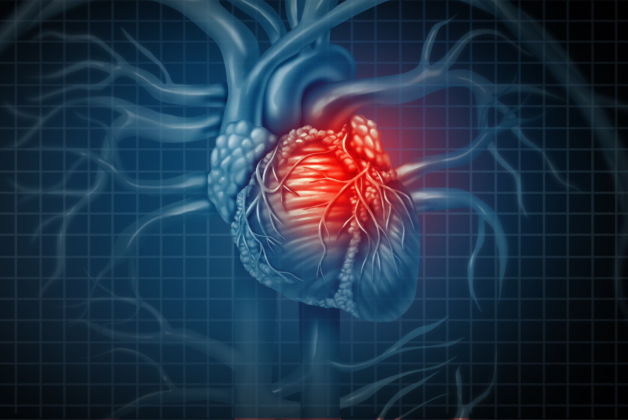 GitHub - ijaytelgote/Heart_Failure_Prediction GitHub - ijaytelgote/Heart_Failure_Prediction