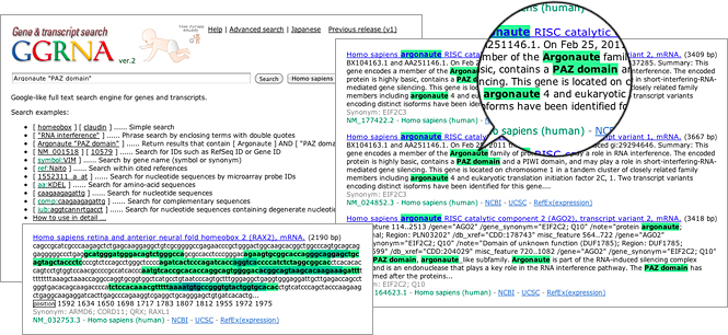 GitHub - meso-cacase/20250421