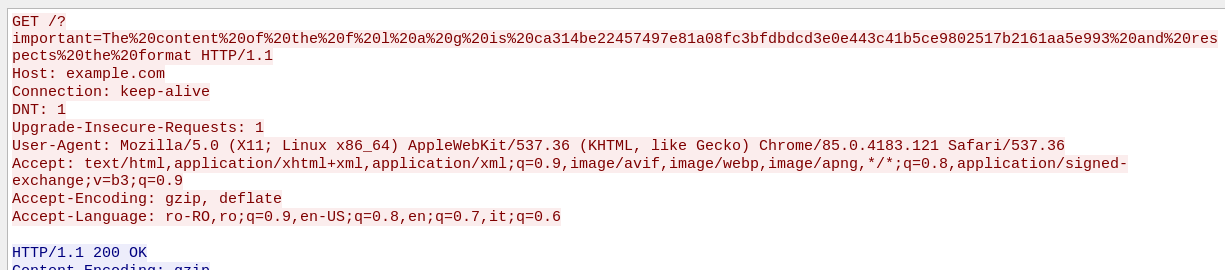 writeups/2020/defcamp/writeups.md at master · bootplug/writeups · GitHub