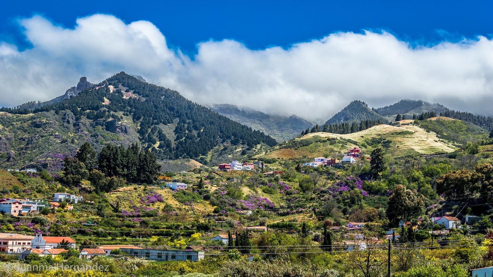 GitHub - vinesmsuic/White-box-Cartoonization-PyTorch: PyTorch ...