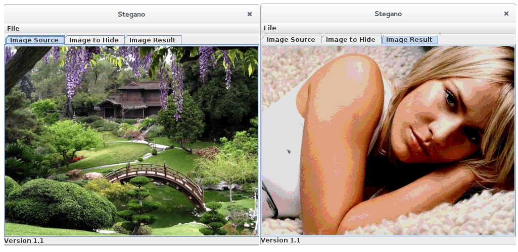 GitHub - beobast/stegano-java: Simple java program to hide an image inside another using LSB ...