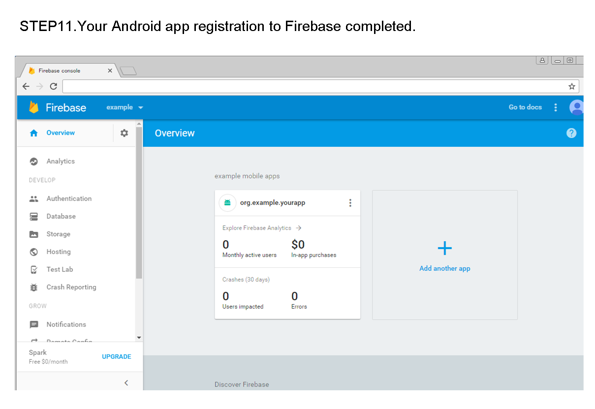 GitHub - riversun/android-firebase-fcm-client: Receive push notification from firebase without ...