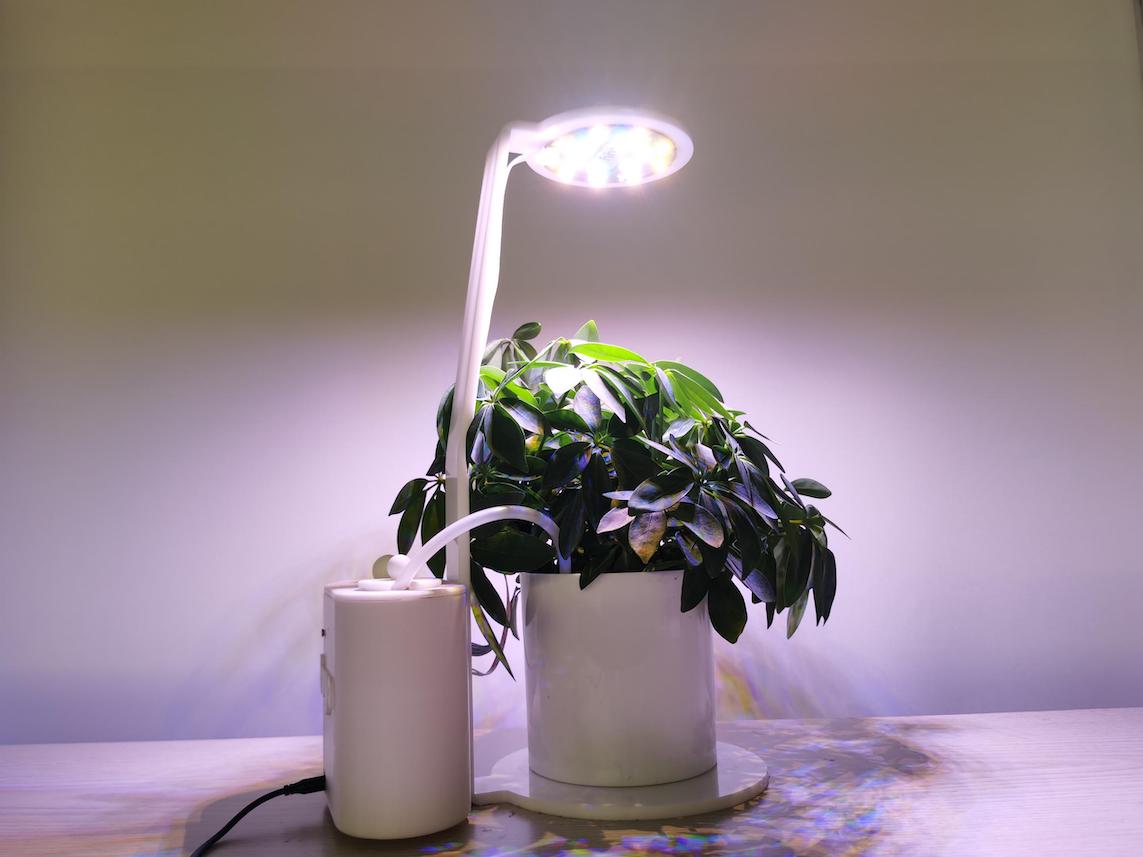 GitHub - tuya/tuya-iotos-embeded-demo-wifi-ble-smart-planter-lite: smart-planter-lite