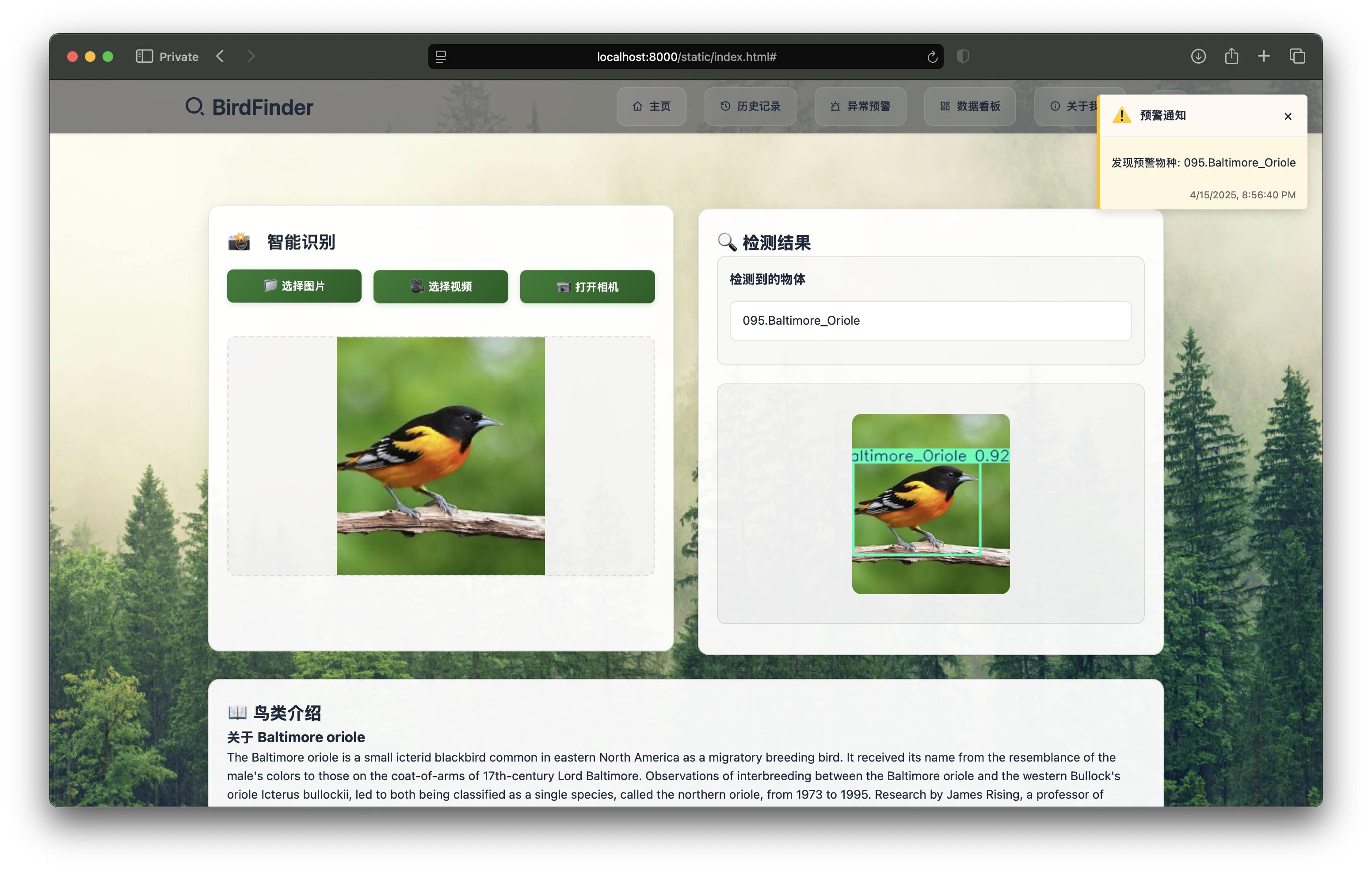GitHub - pipi4/bird-recognition