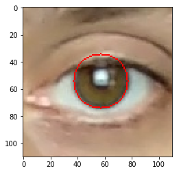 GitHub - banderlog/daugman: Daugman's algorithm for Iris detection