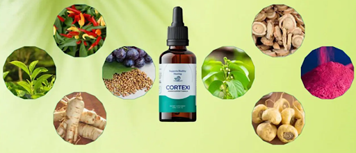 GitHub Apps - Cortexi Ingredients List · GitHub