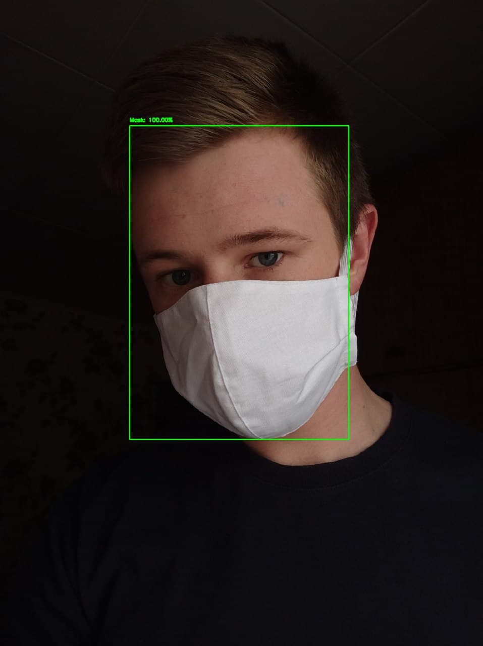 GitHub - licksylick/FaceMaskRecognitionWithFlask: Face-mask recognition ...