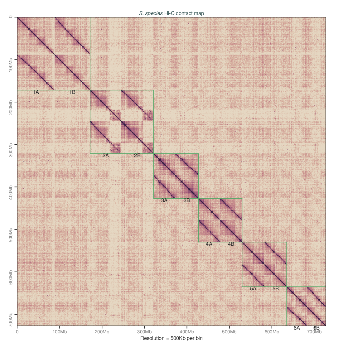 Genome build · tanghaibao/jcvi Wiki · GitHub