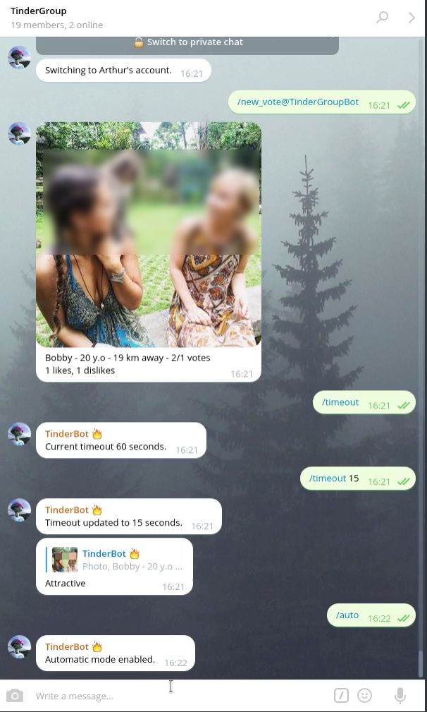 GitHub - arthurdk/tinder-telegram-bot: Unofficial Tinder bot for choosing the perfect Tinder ...