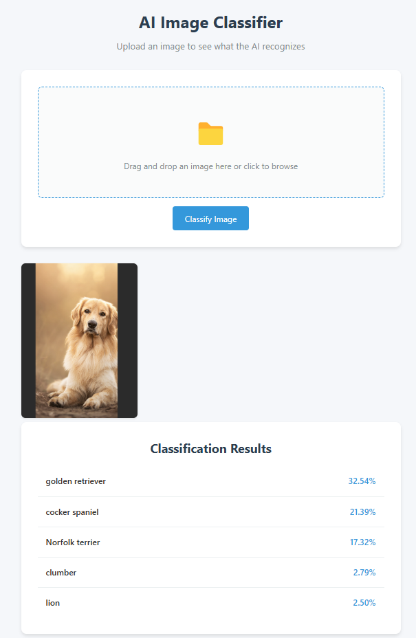GitHub - xDanielleT/image-classifier: A browser-based image classifier that uses TensorFlow.js ...