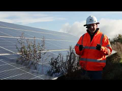 GitHub - realwear/collaborate: RealWear Collaborate and AI is a unified codebase for hands-free ...