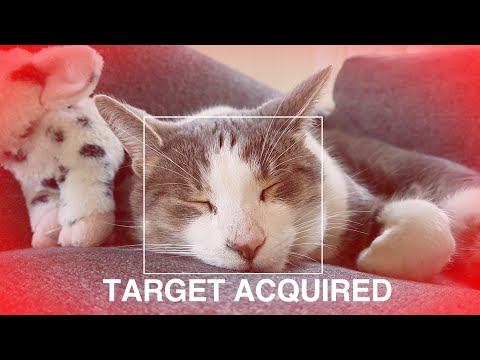 GitHub - davesarmoury/HenryLaserTurret