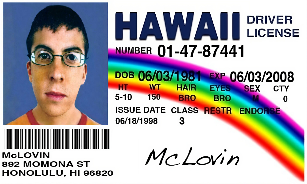 GitHub - FabsCR/mclovin-card-generator: A fun and interactive McLovin ...