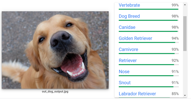GitHub - kamoako1/Distributed-Image-Processing-in-Cloud-Dataproc: With the integration of Vision ...