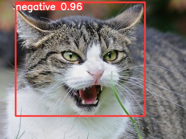 GitHub - Leo9156/Cat-Emotion-Detection: Using custom Yolov5 object detection model to recognize ...