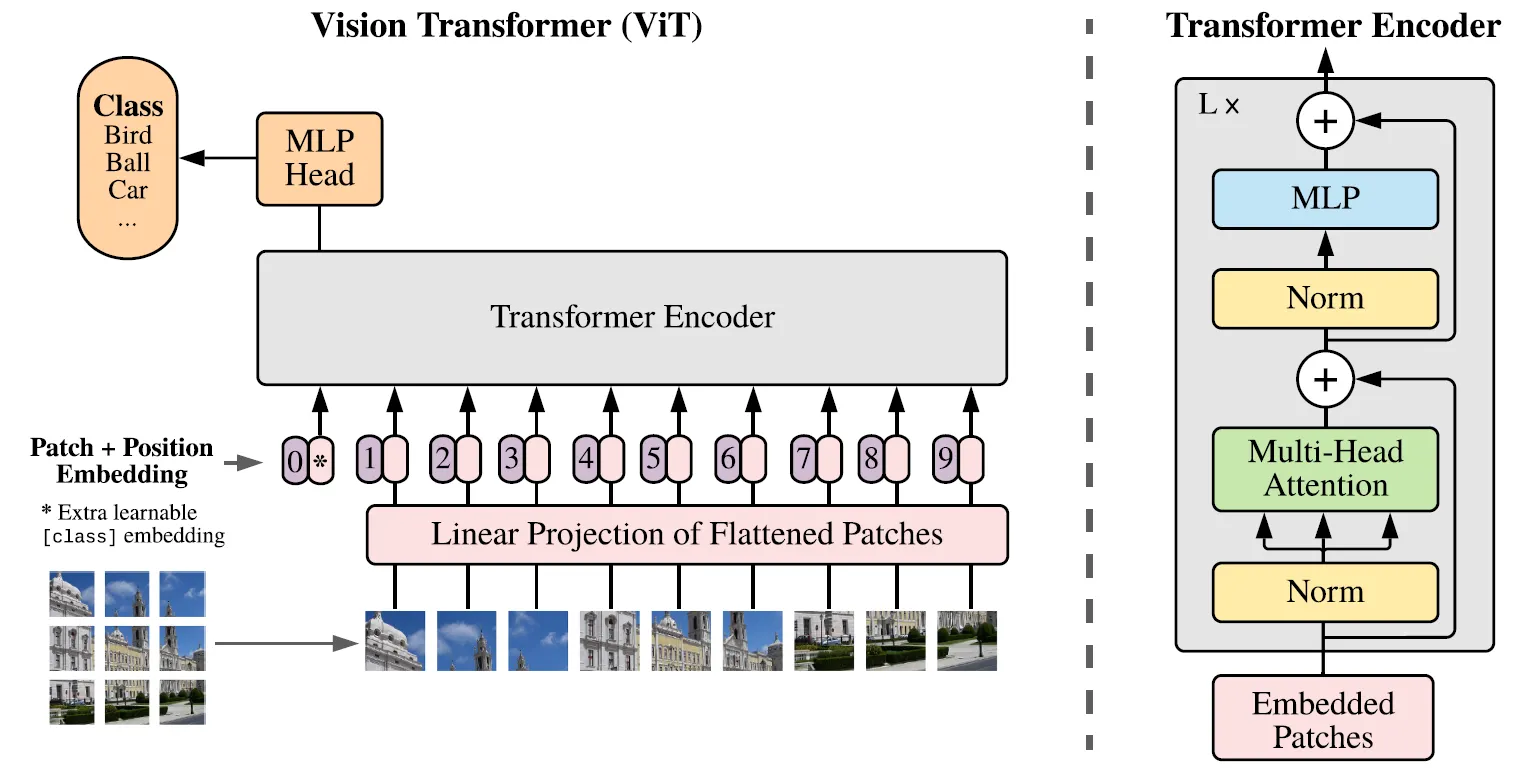 GitHub - jonathantiedchen/Fine-tune-Vision-Transformer-on-CIFAR10