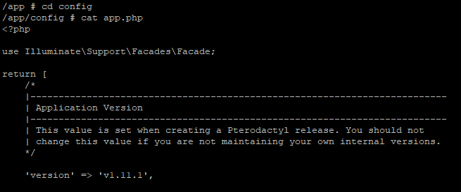 Docker versioning adds character to version string · Issue #4596 · pterodactyl/panel · GitHub