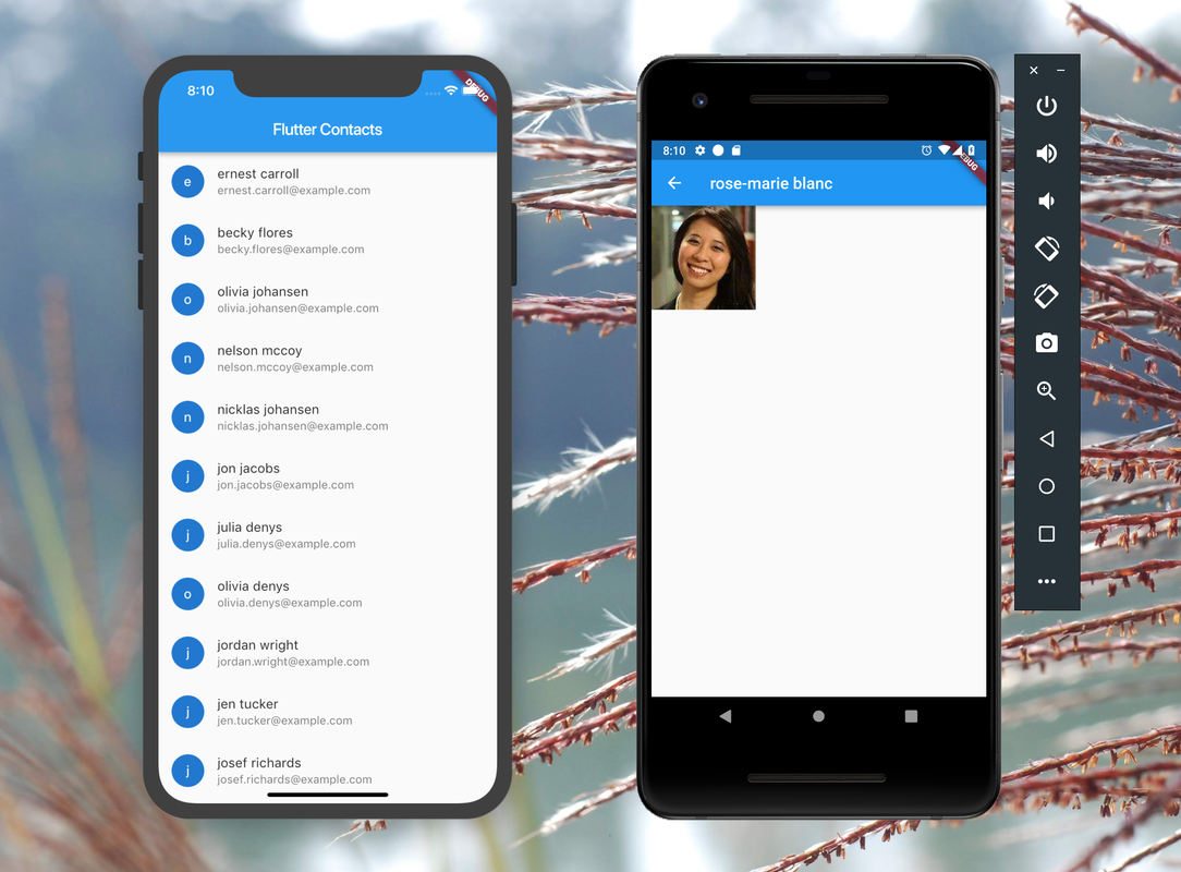 GitHub - n1k3c/flutter-contacts