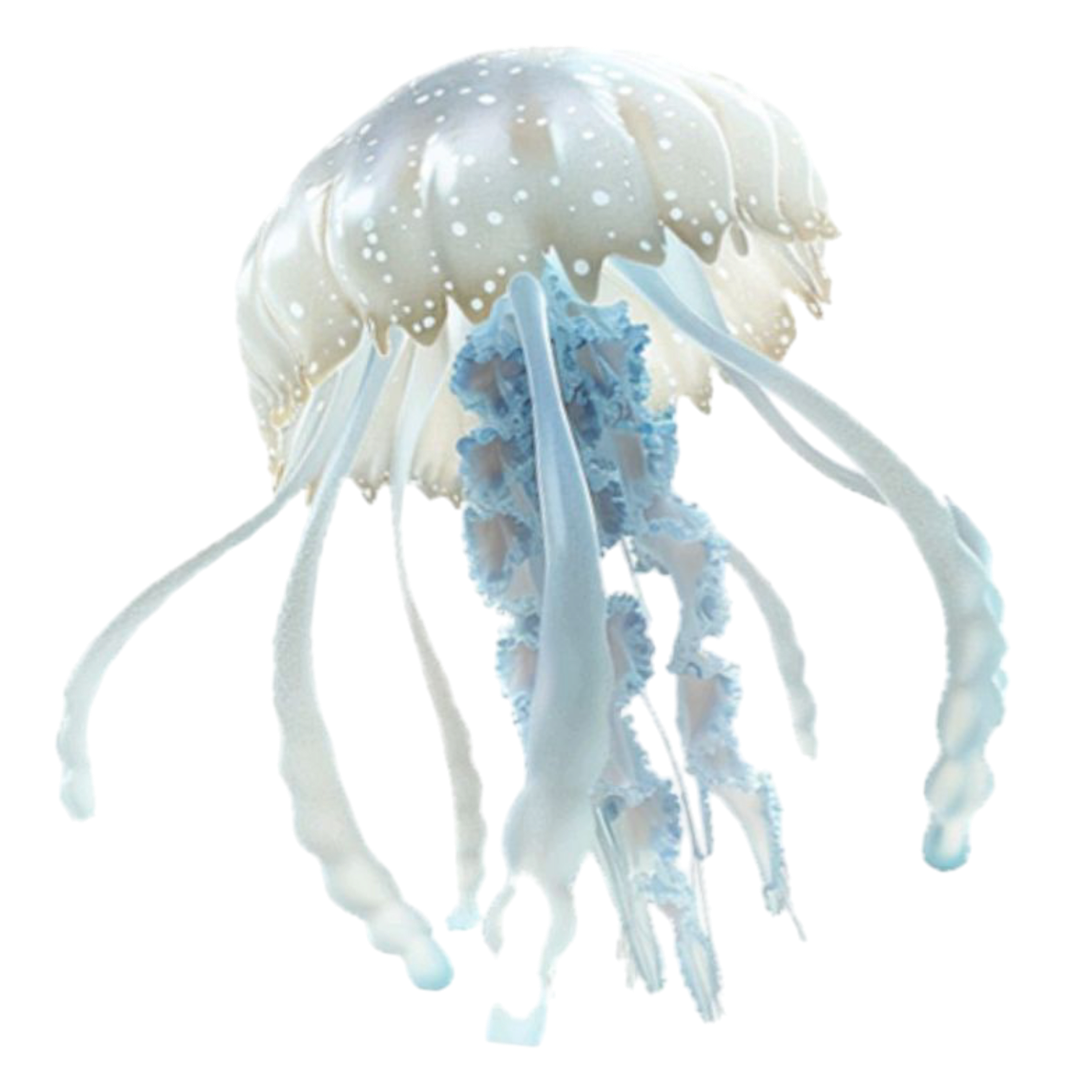 OPERATIONVEE (𝚅𝚎𝚜𝚘𝚐𝚊) · GitHub