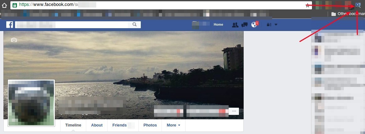GitHub - Zerquix18/Facebook-Find-Hidden-Pictures: A Chrome extension to ...