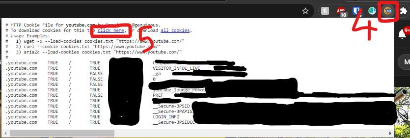 Tutorial: Private videos & playlists (legacy 1.8.7) · jely2002/youtube-dl-gui Wiki · GitHub