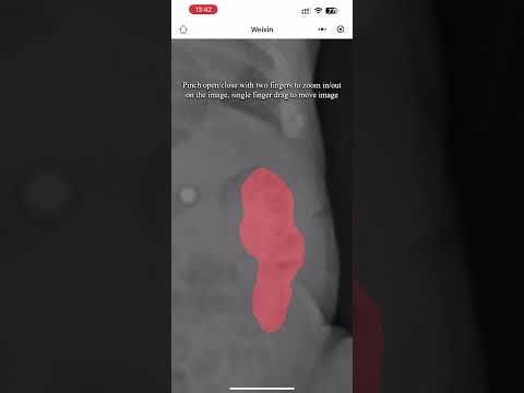 GitHub - priscillaLee0830/NEC-application