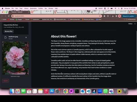 GitHub - kulkarninidhii/flora-recognition: An image reading bot which tells you all about the ...