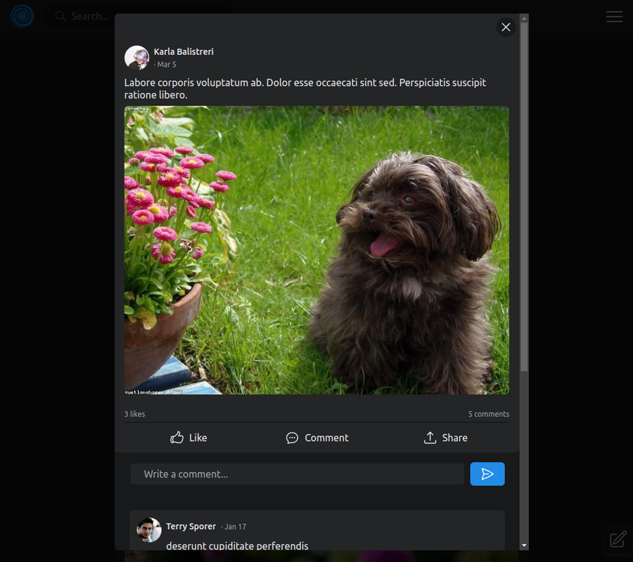 GitHub - curatedcode/close-circle: Social media platform