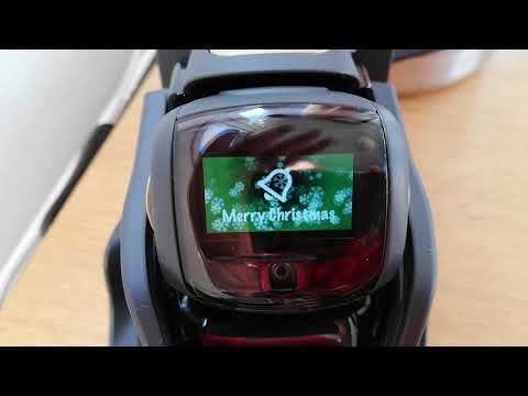 GitHub - GrinningHermit/Vector-Face-Animation: Displaying facial ...