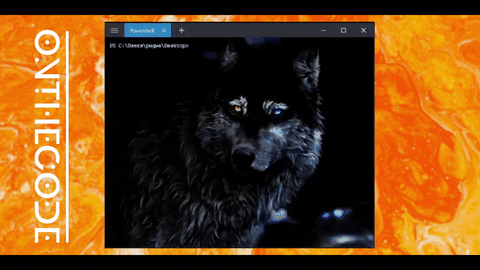 GitHub - OnTheCodeOfficial/TrueMoney-Wallet-Gift-API: เป็นตัวรับข้อมูลและทำการเก็บเงินโอนเงินจาก ...