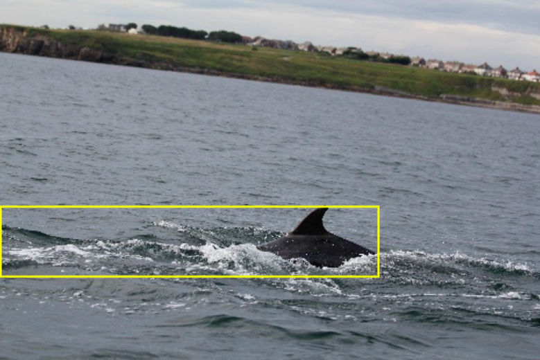 GitHub - TheoBoyer/Manual-bbox-annotation-tool