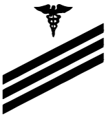 GitHub - weklund/Military-Rank-Web-Font-Icons: Font Icons That Include ...
