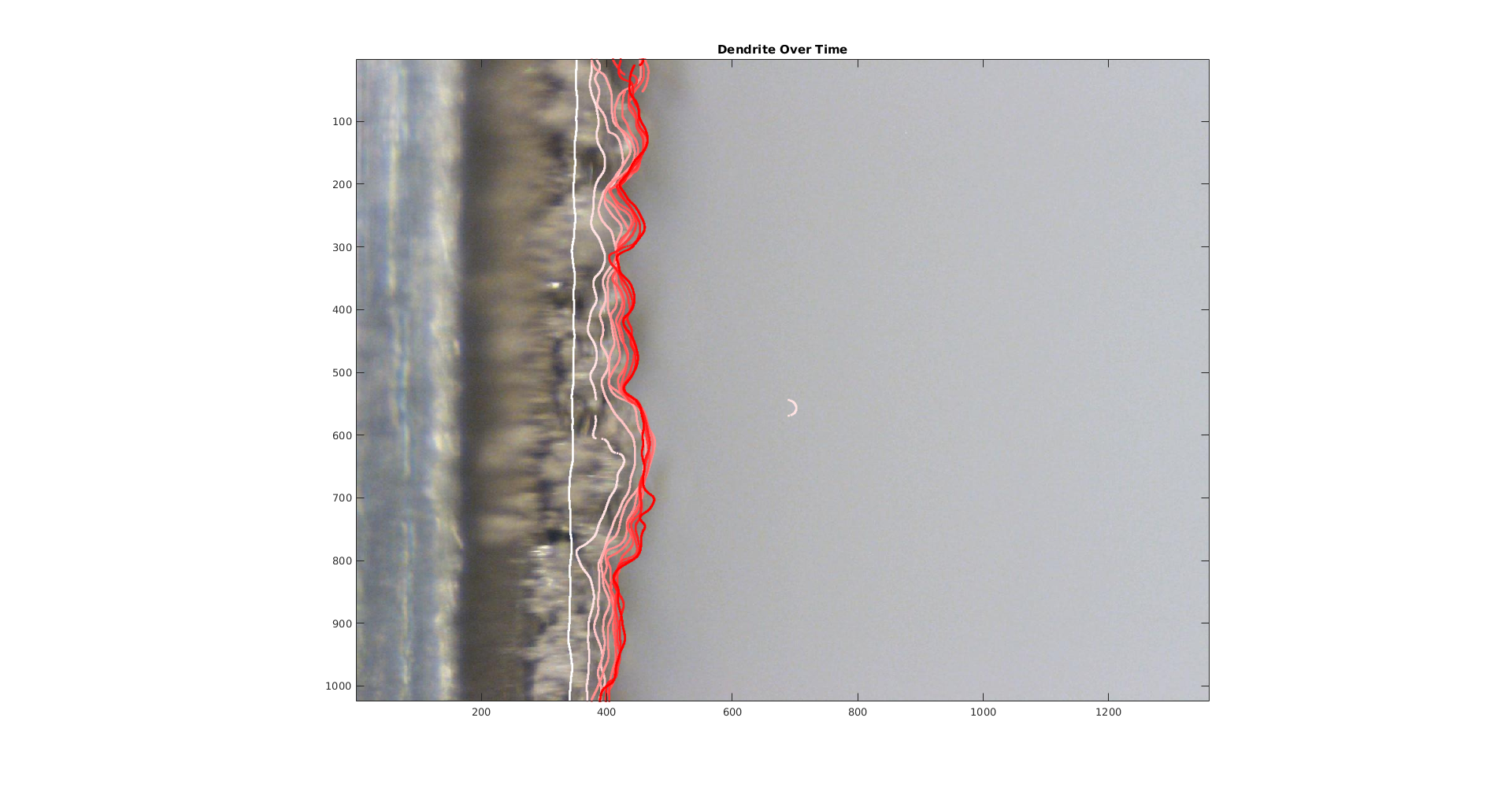 GitHub - Strafos/DendriteGrowth: Uses edge detection to measure growth ...