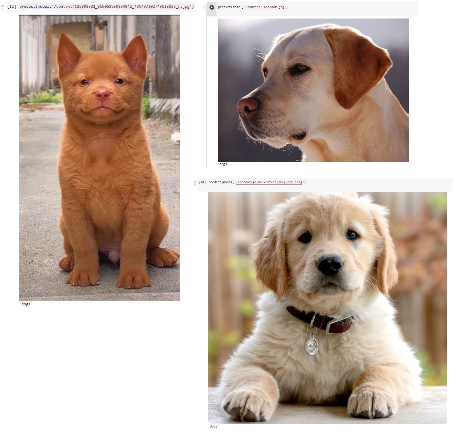 GitHub - protonx-tf-03-projects/ResNet: Implementation of ResNet: Deep Residual Learning for ...