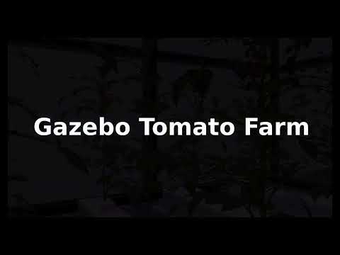 GitHub - LCAS/aoc_tomato_farm: A simulated environment of the tomato farm, part of the Agri ...