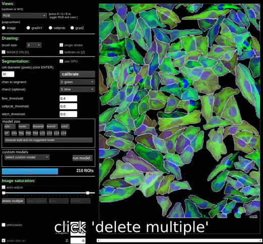 cellpose/docs/gui.rst at main · MouseLand/cellpose · GitHub