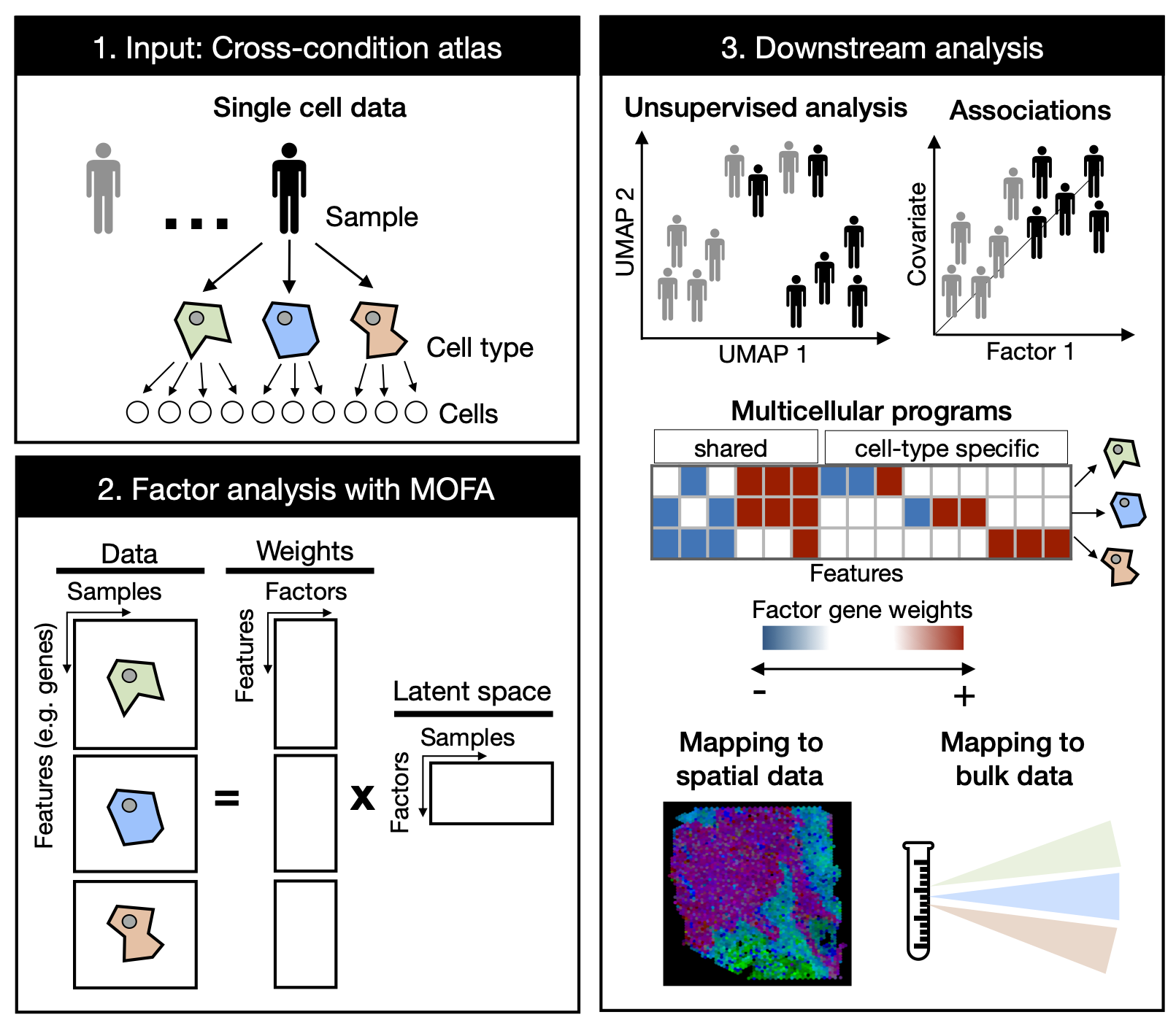 GitHub - saezlab/MOFAcellulaR: R package to infer multicellular programs from single-cell data ...