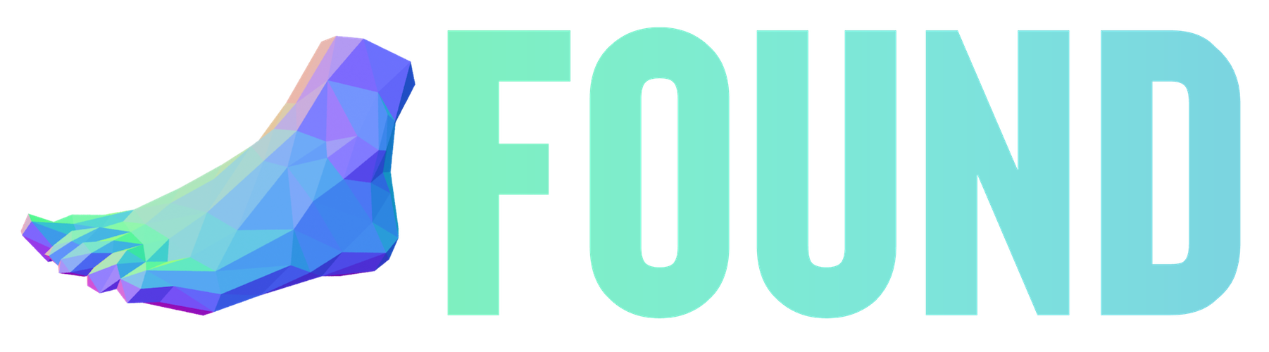 GitHub - OllieBoyne/FOUND: Official code for FOUND: Foot Optimisation with Uncertain Normals for ...