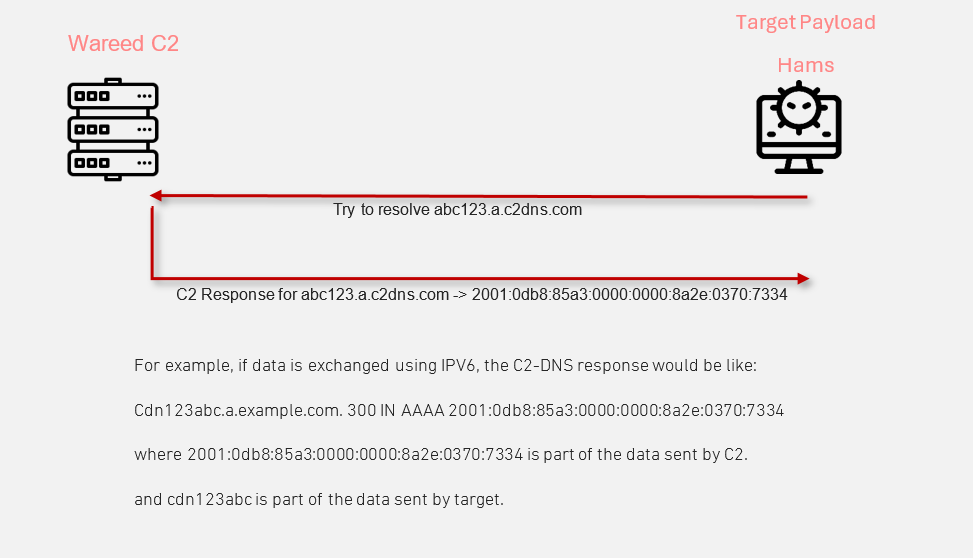 GitHub - Faisal-P27/WAREED-DNS-C2
