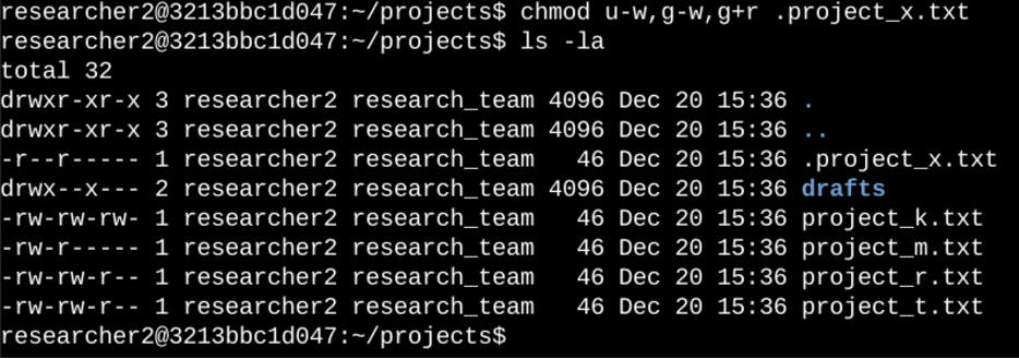 GitHub - Chisomeboh1/File-Permission-in-Linux