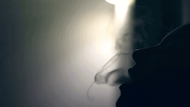 TheMakara (Makara) · GitHub