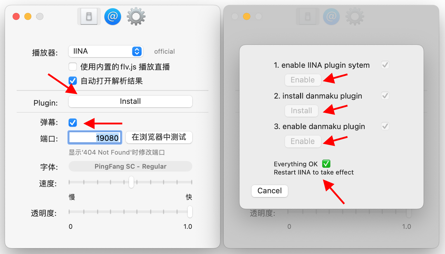 1. 无脑教程 · xjbeta/iina-plus Wiki · GitHub