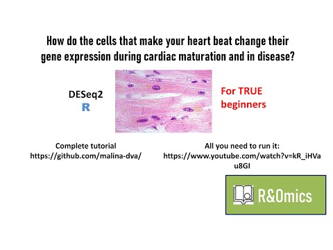 GitHub - malina-dva/RNA-seq-Differential-expression-analysis: RNA-seq, R tutorial