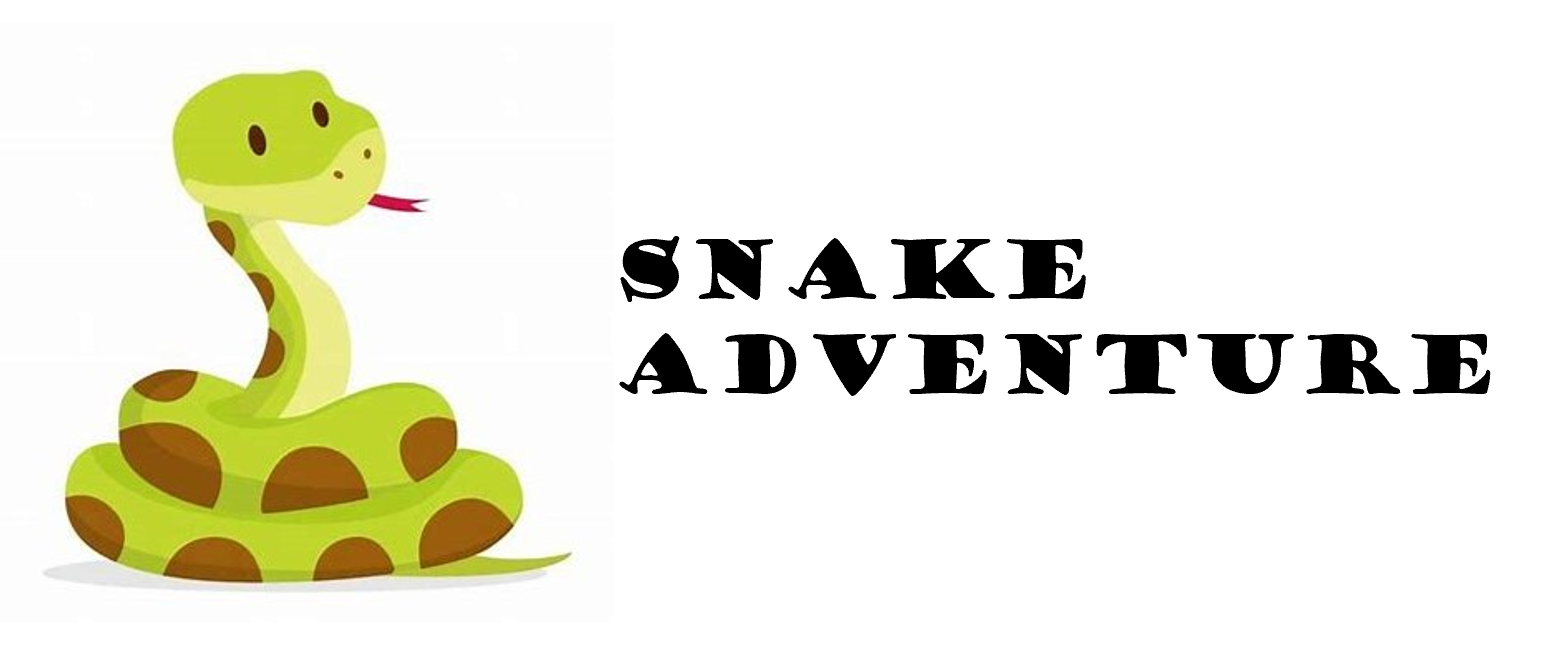 GitHub - CalciumArgon/SnakeGame: A greedy-snake game developed by Qt ...