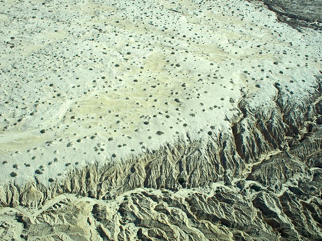 Ecosystem Indicators Workflows · GitHub