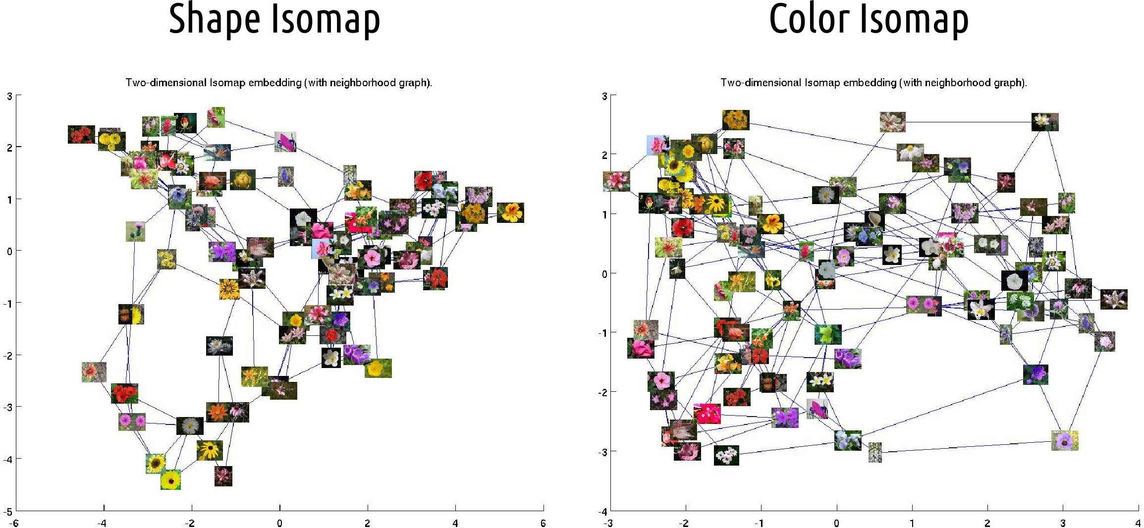 GitHub - Bald-creator/Flowers-102-Classification: 102种花卉分类项目，使用ResNet152模型