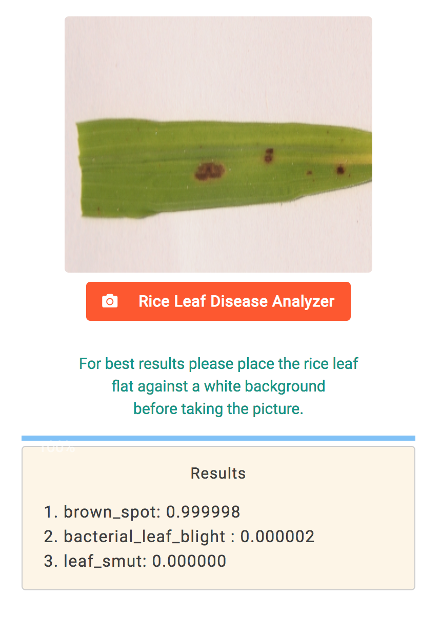 GitHub - vbookshelf/Rice-Leaf-Disease-Analyzer: Ai powered web app that ...