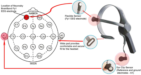 GitHub - yuumi15/EEG-Based_Brain-Computer_Interface_-BCI-_Controlled_Robotic_Arm: EEG-Based ...